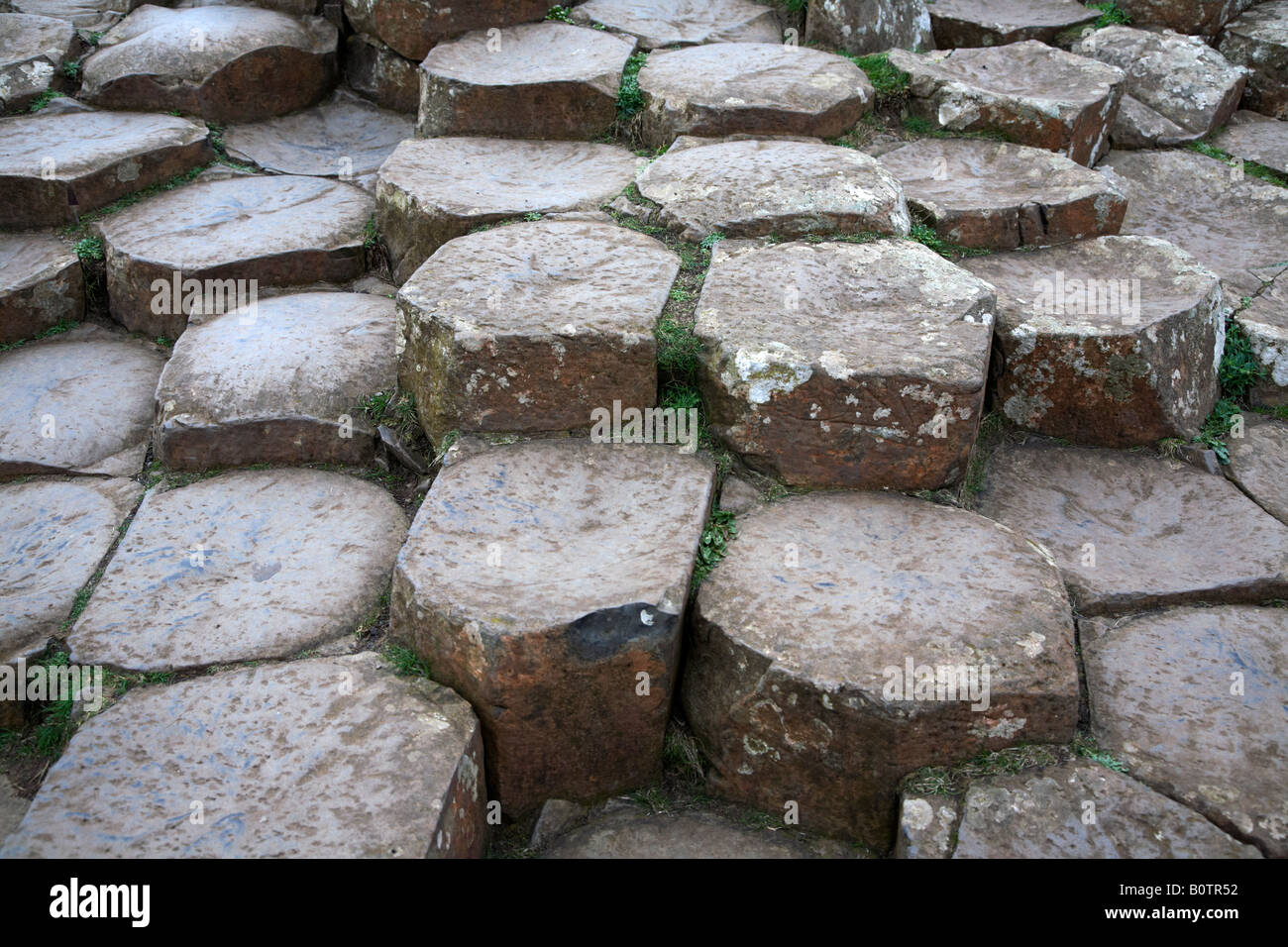 red basalt hexagonal rock formations at the giants causeway county ...
