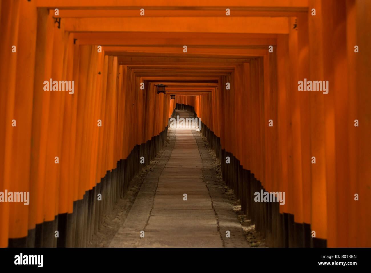 Torii gates at Fushimi Inari Shrine, Kyoto, Japan Stock Photo - Alamy