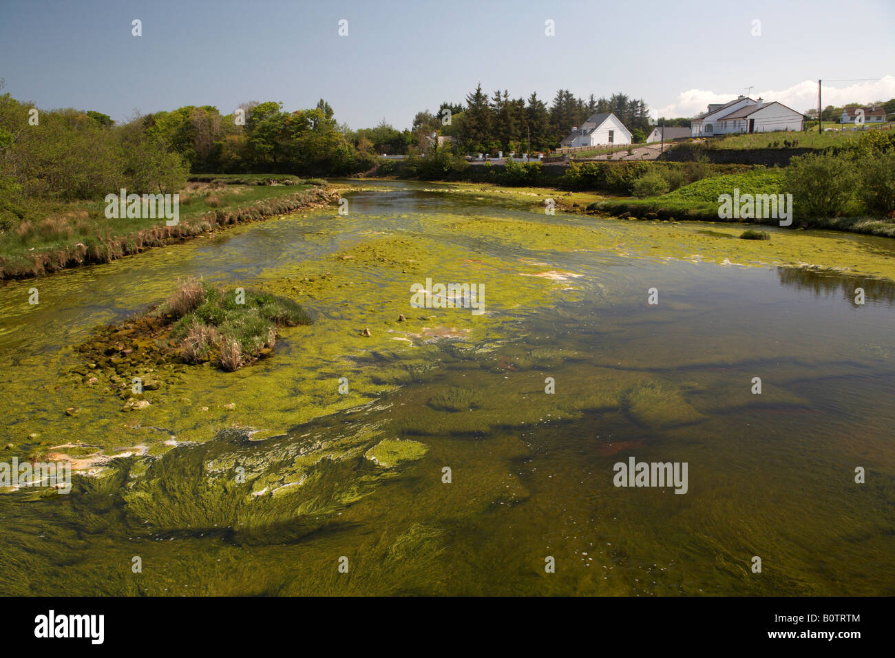 At palmerstown hi-res stock photography and images - Alamy