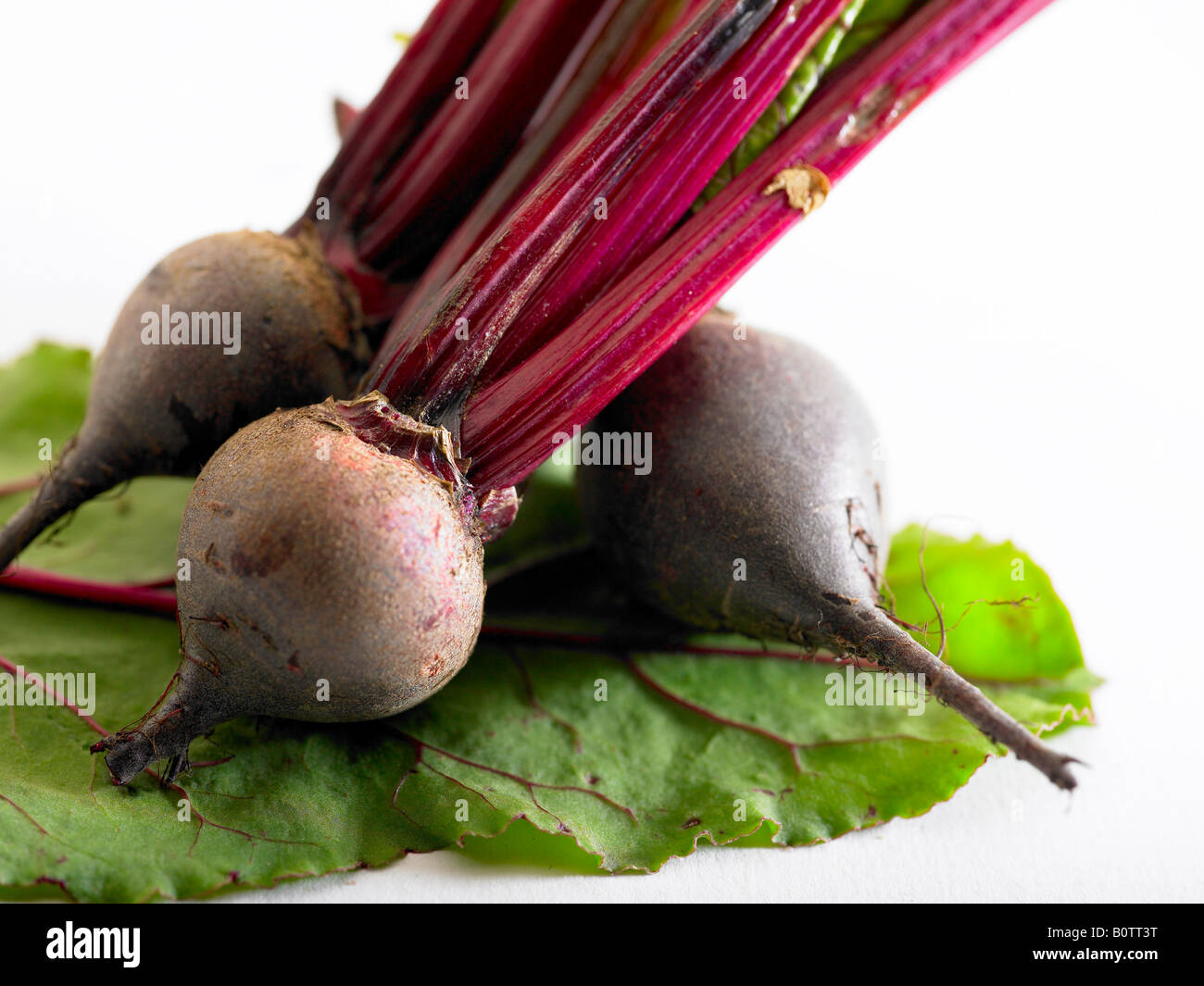 baby beetroot and leaves against white background Stock Photo - Alamy