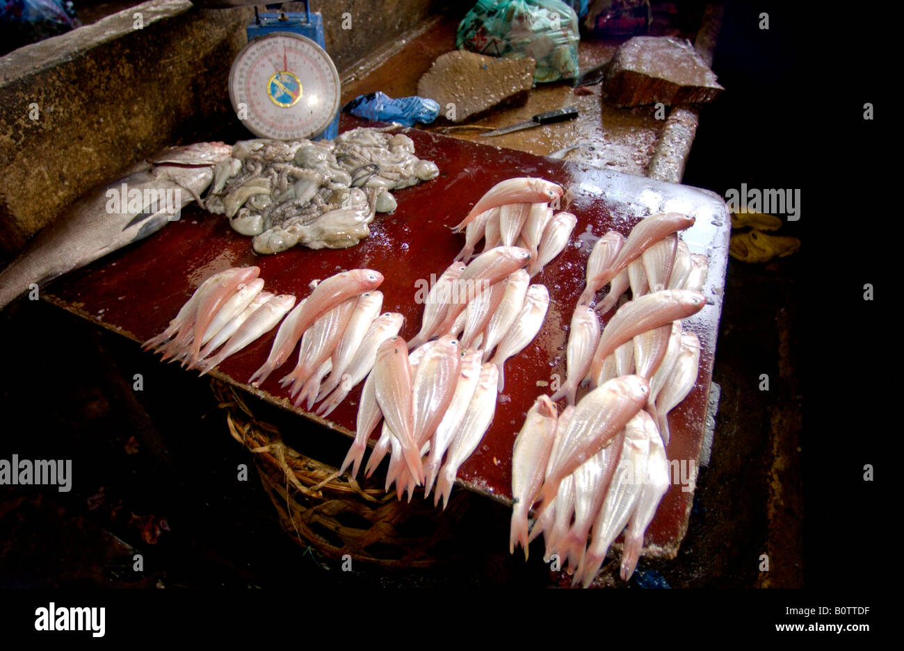 Fresh fish markets Stock Photo - Alamy