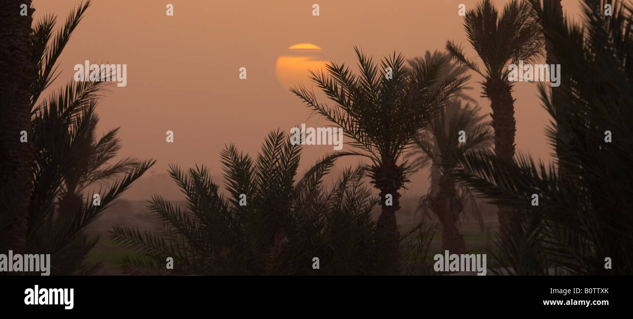 Sun setting over palm trees Stock Photo - Alamy