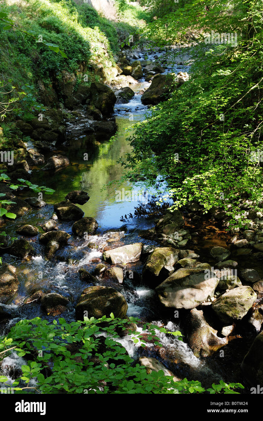 Brithdir High Resolution Stock Photography and Images - Alamy