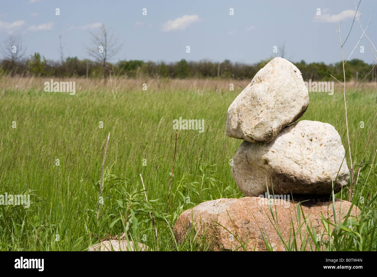 Springbrook Prairie Forest Preserve Stock Photo - Alamy