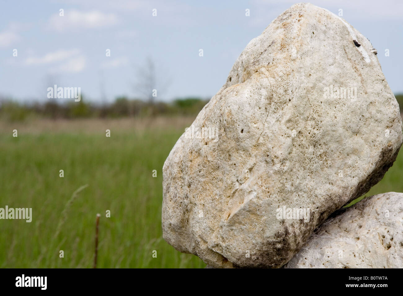Springbrook Prairie Forest Preserve Stock Photo - Alamy