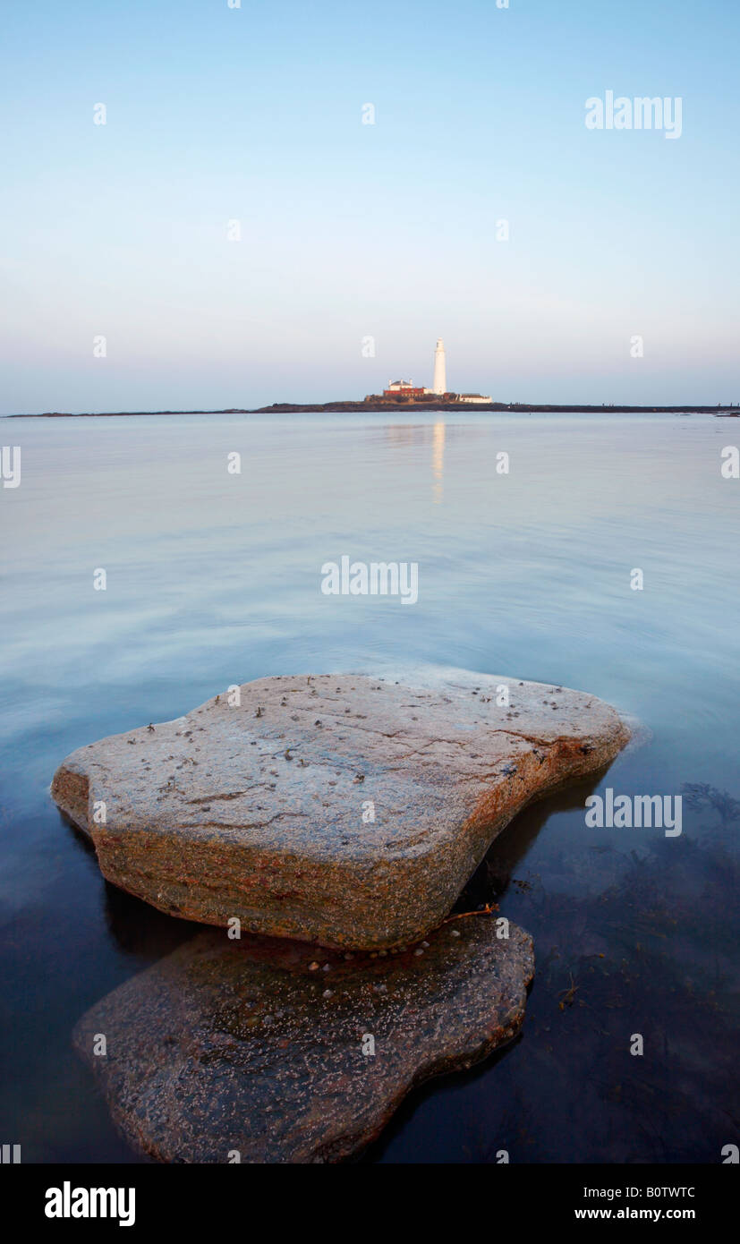 St Mary's Lighthouse late evening, Northumberland coast Stock Photo - Alamy