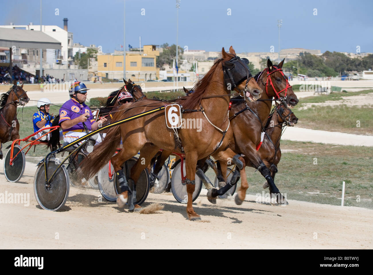 Malta horse racing track marsa hi-res stock photography and images - Alamy