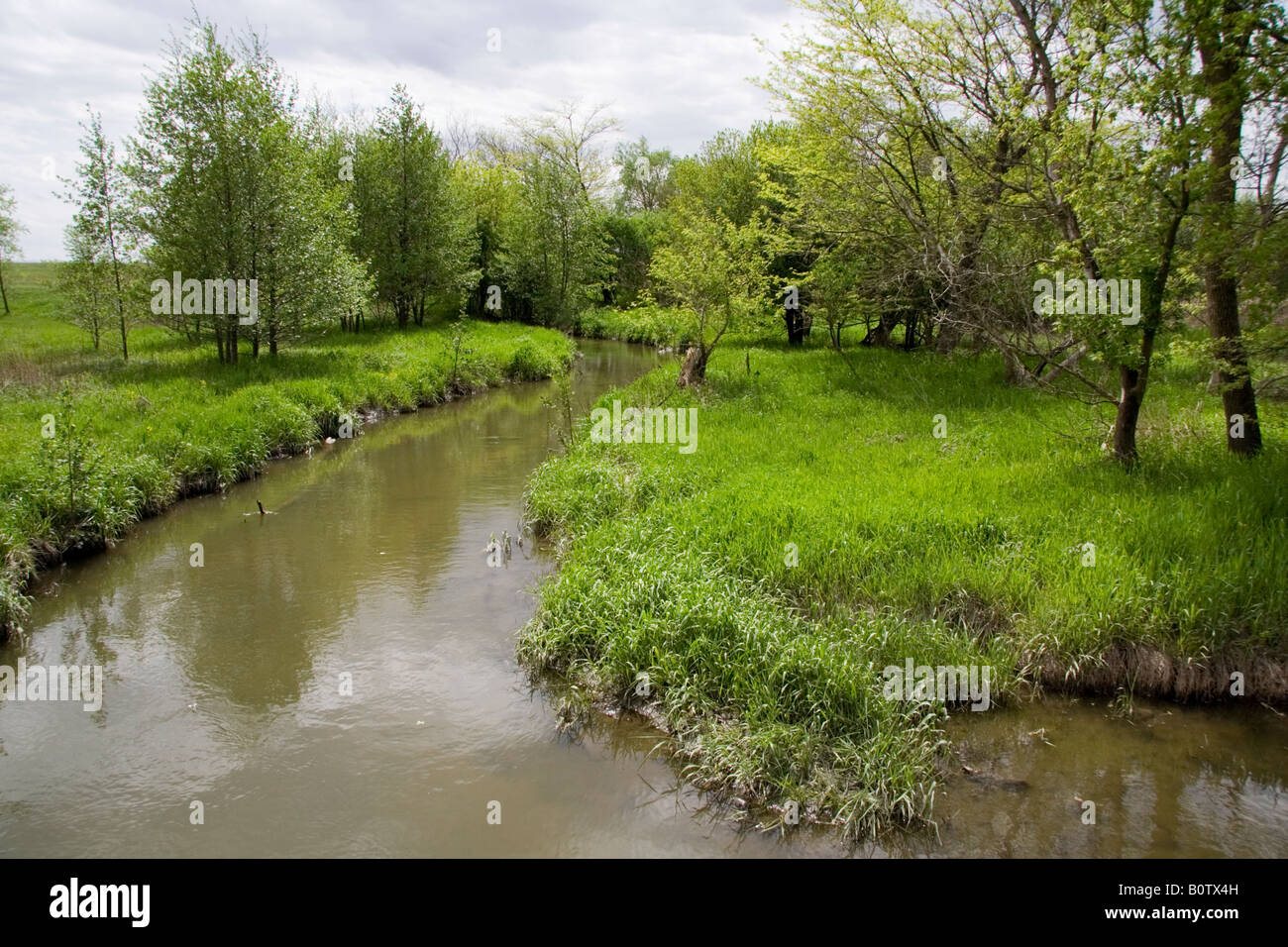 Forest preserve hi-res stock photography and images - Alamy