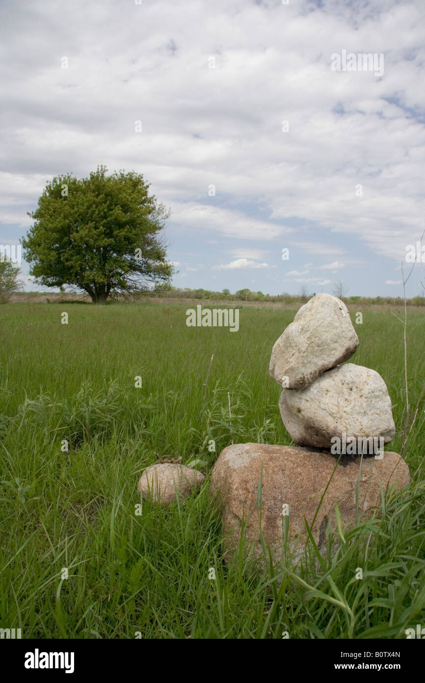 Springbrook Prairie Forest Preserve Stock Photo - Alamy