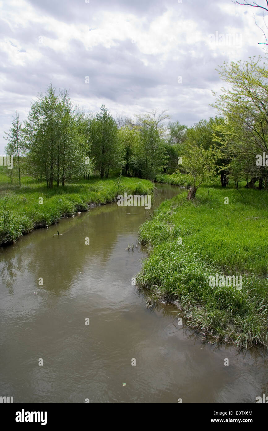 Springbrook Prairie Forest Preserve Stock Photo - Alamy
