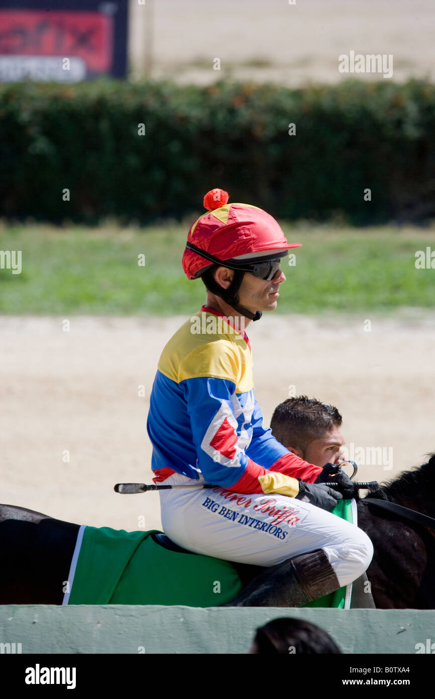 Malta horse racing track marsa hi-res stock photography and images - Alamy