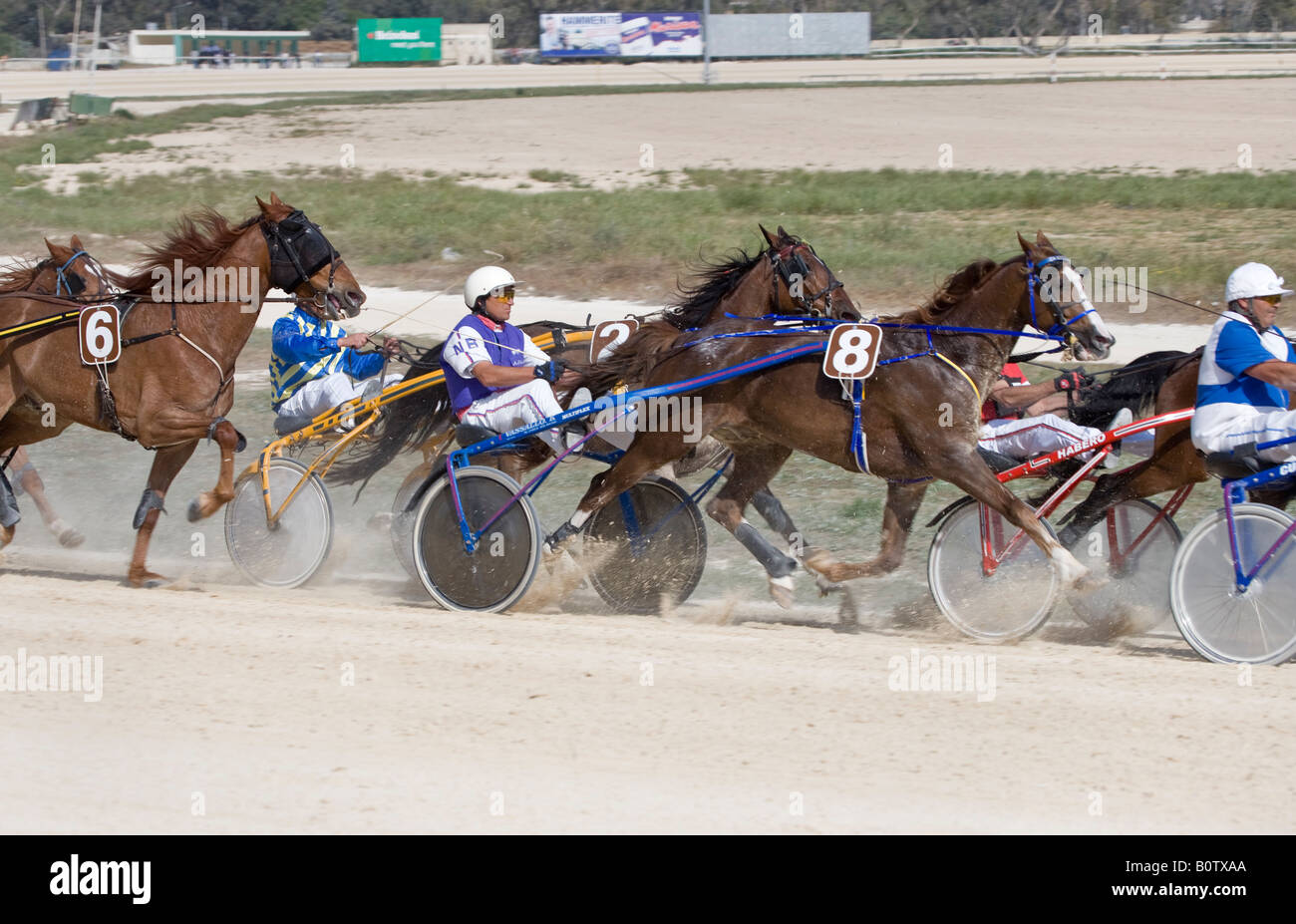 Malta horse racing track marsa hi-res stock photography and images - Alamy