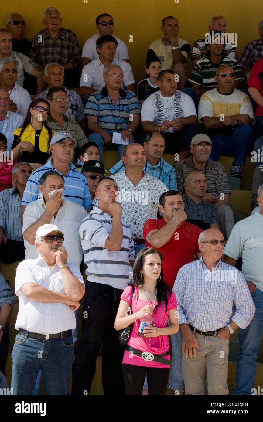 Malta horse racing track marsa hi-res stock photography and images - Alamy