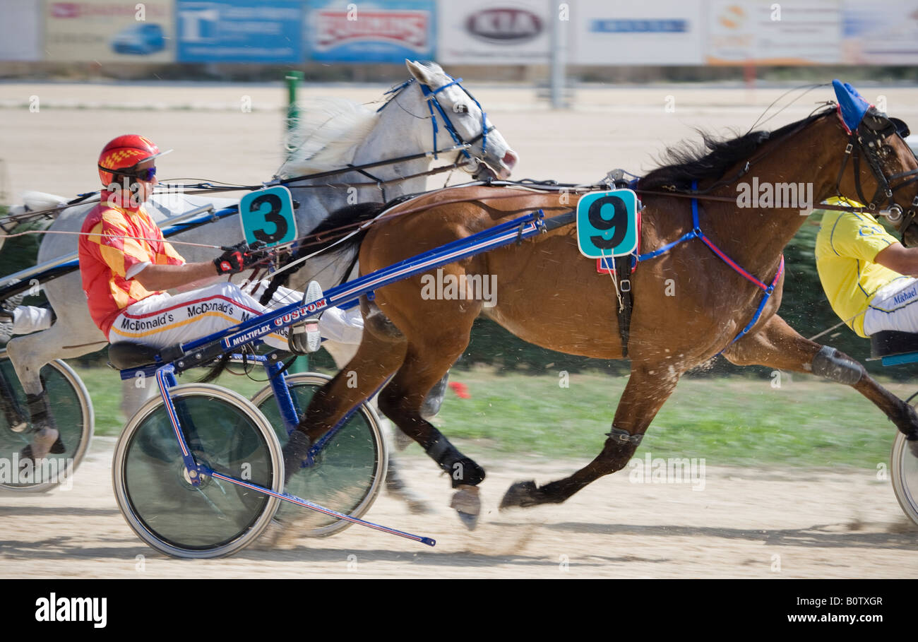 Malta Horse Racing Track Marsa Valletta Malta Stock Photo - Alamy