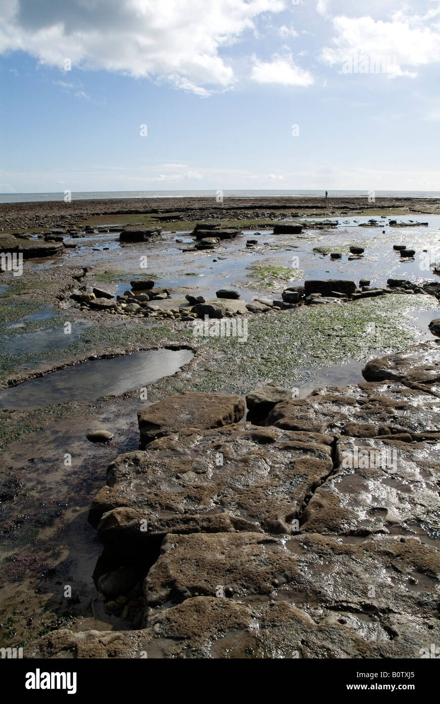 sea bed at low tide Stock Photo - Alamy