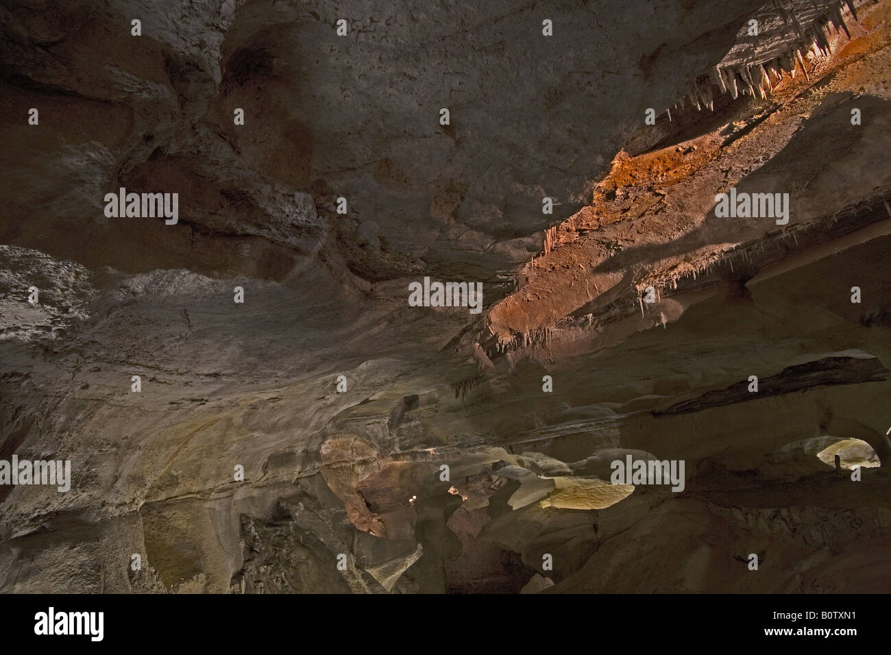 Water dissolved away bubble-shaped holes in this unusual room at Cave ...