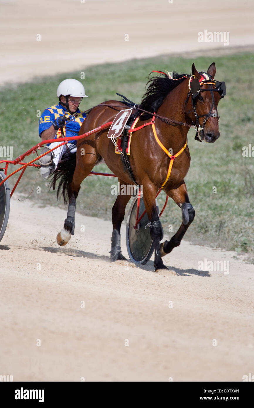 Malta Horse Racing Track Marsa Malta Stock Photo - Alamy