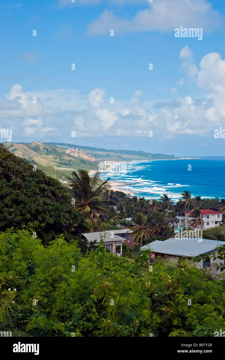 Houses surrounded by Tropical Vegetation on Bathsheba Beach Barbados ...