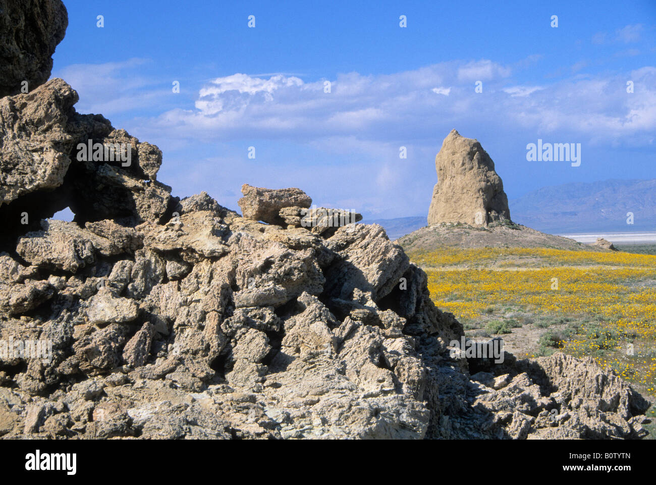 Eroded tufa spires at Trona Pinnacles National Landmark, California ...