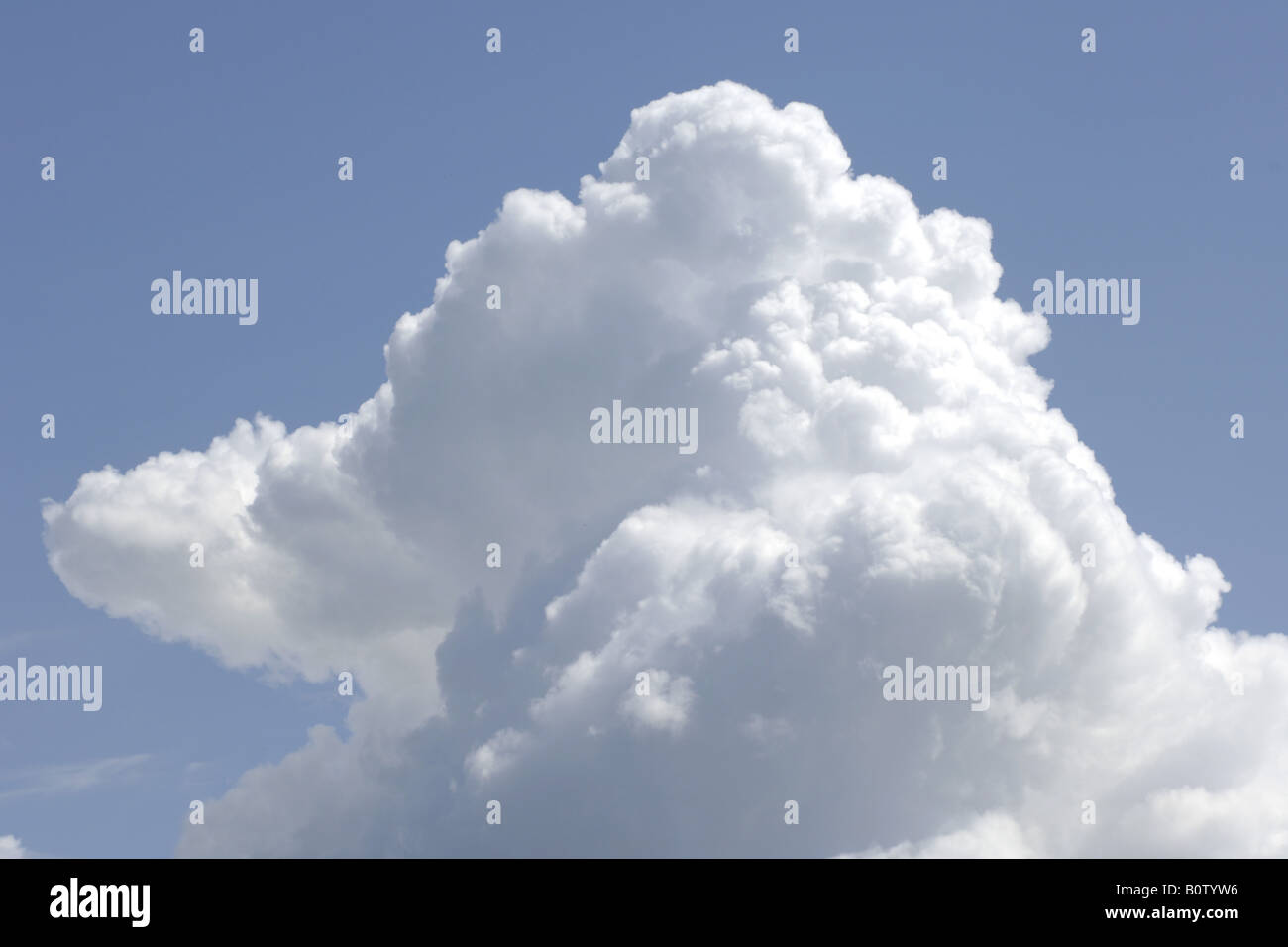 Towering white Cumulus clouds against a blue sky Stock Photo - Alamy