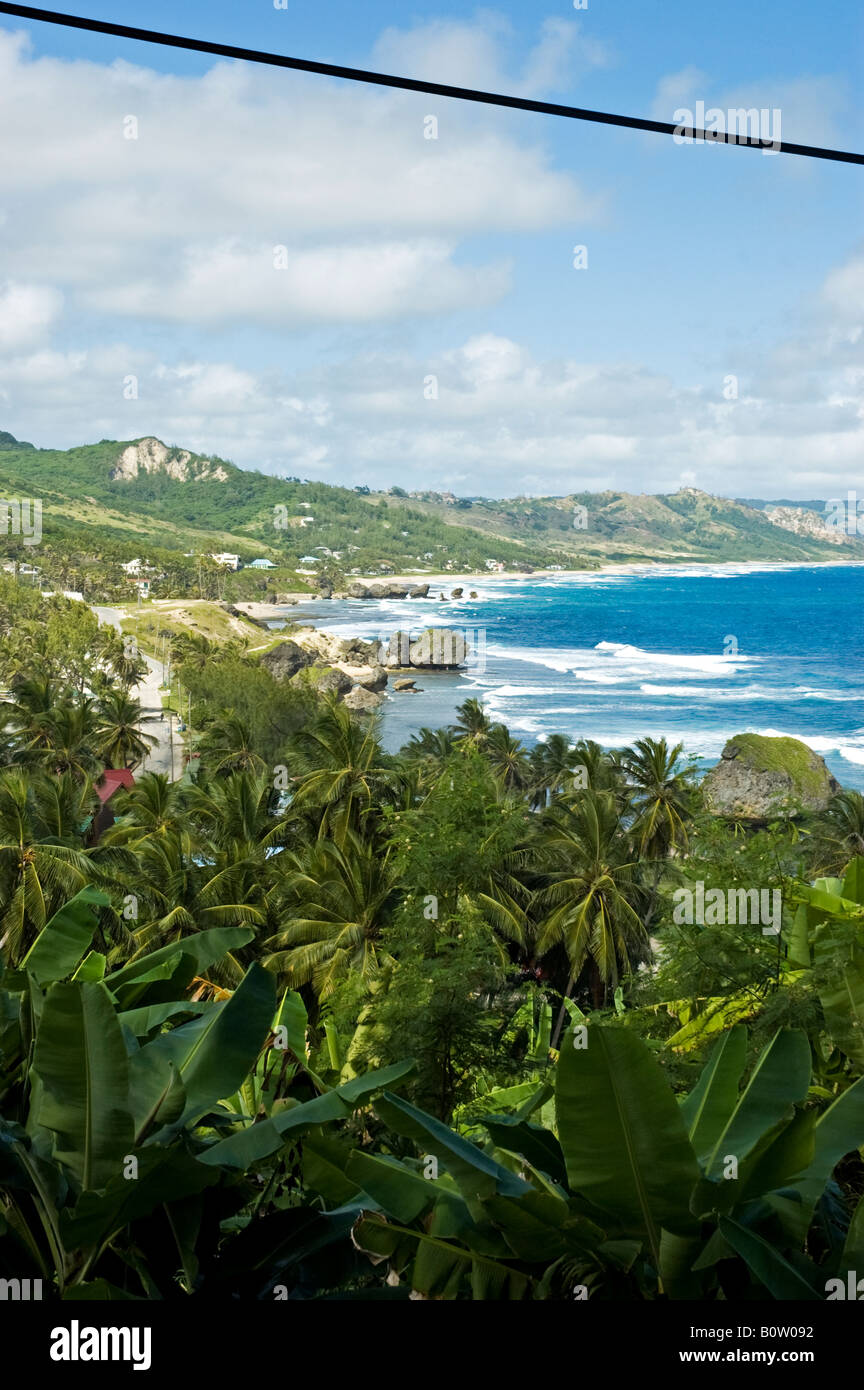 Looking over dense tropical vegetation at the rugged Bathsheba beaches ...