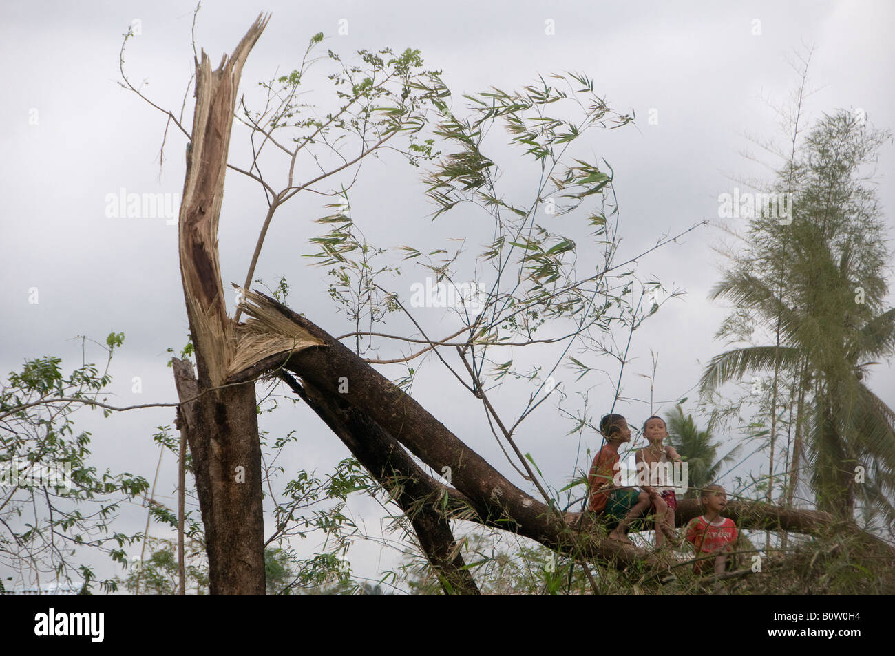 Children sitting on a fallen tree caused by Cyclone Nargis in the city ...