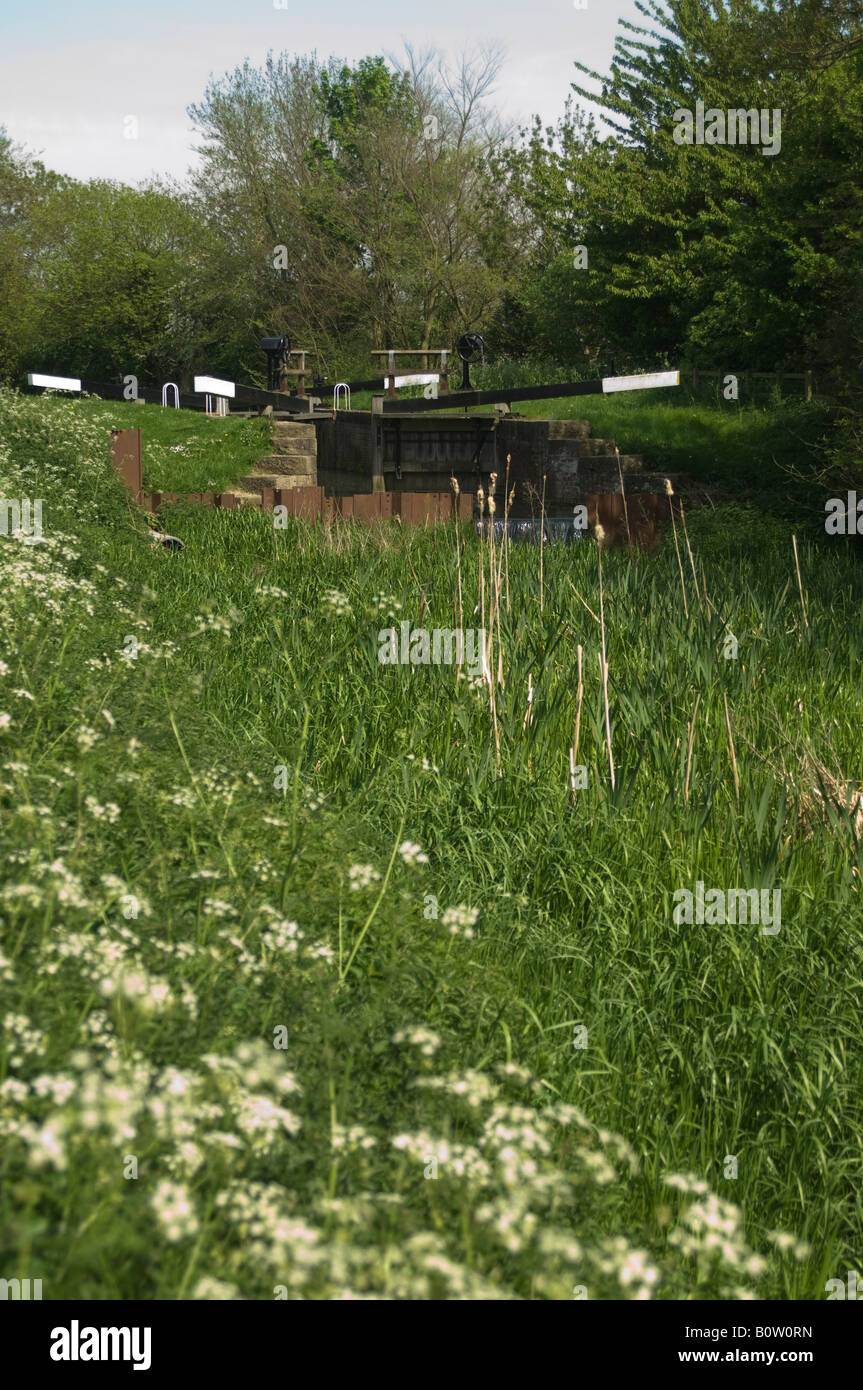 The top lock hi-res stock photography and images - Alamy