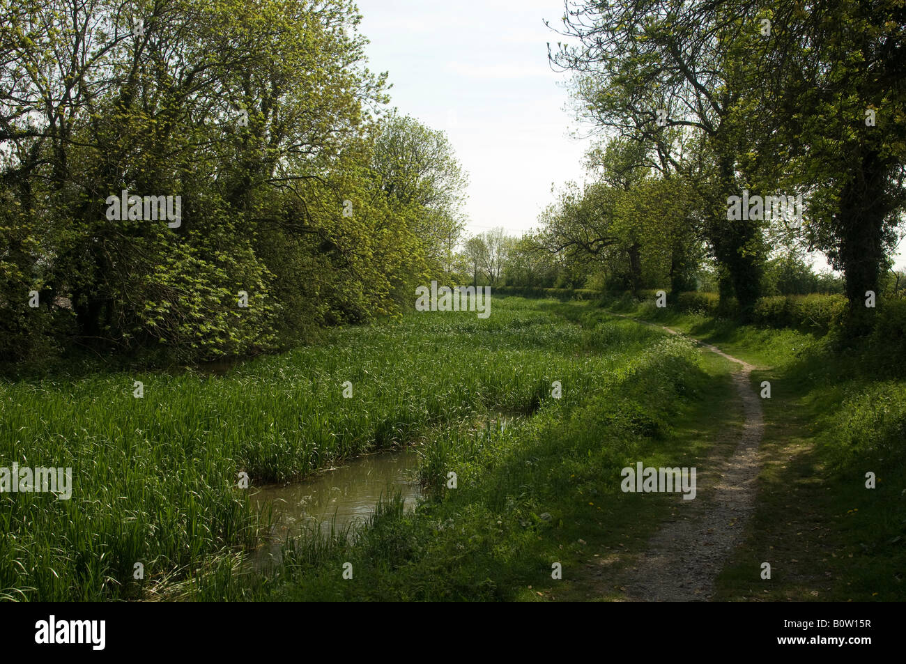 Clogged canal hi-res stock photography and images - Alamy