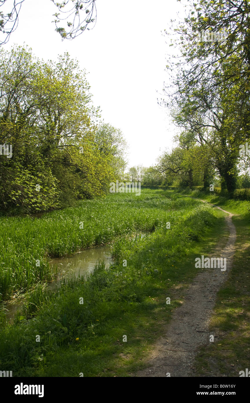 Clogged canal hi-res stock photography and images - Alamy