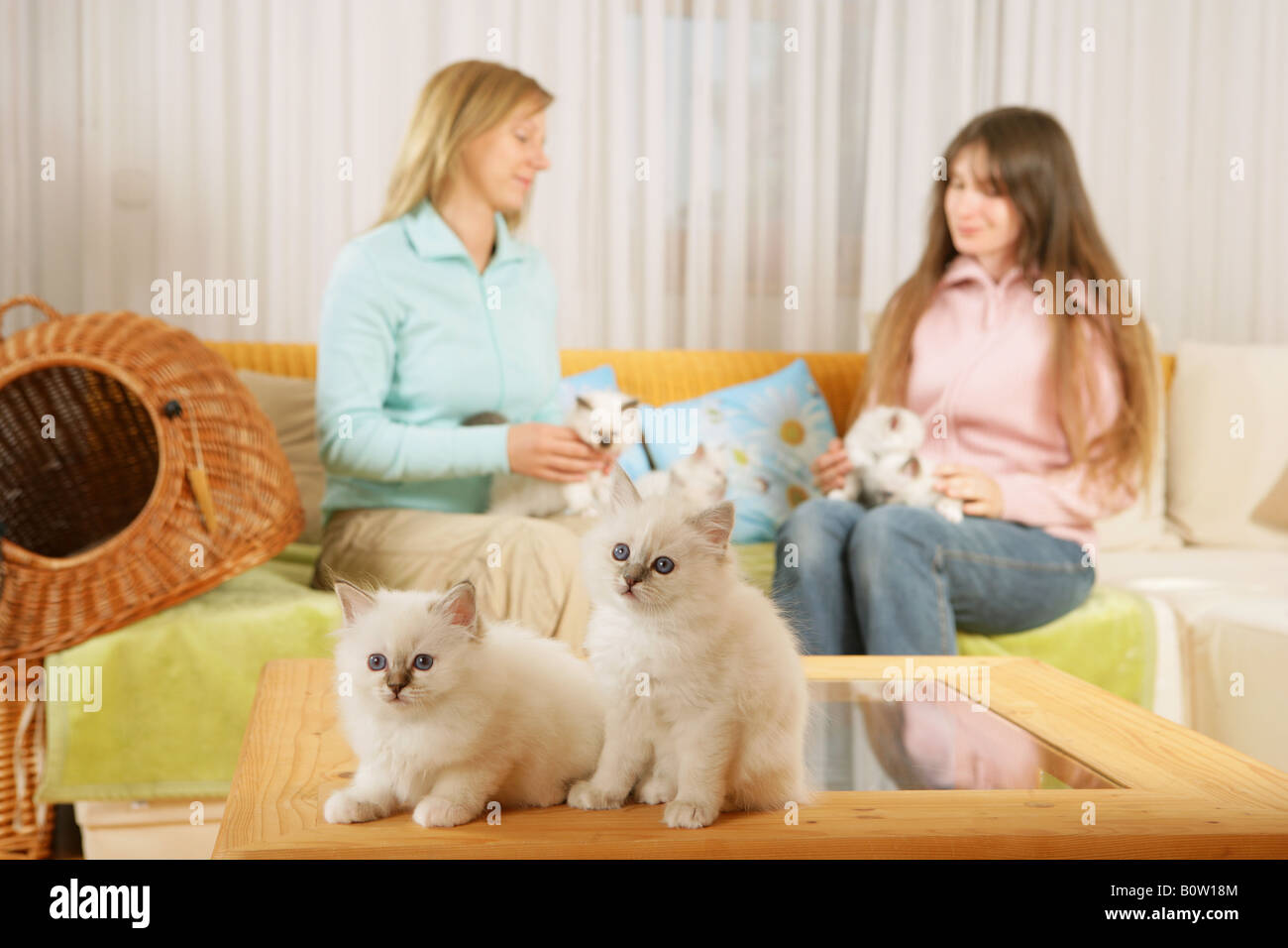 Women cat hi-res stock photography and images - Alamy