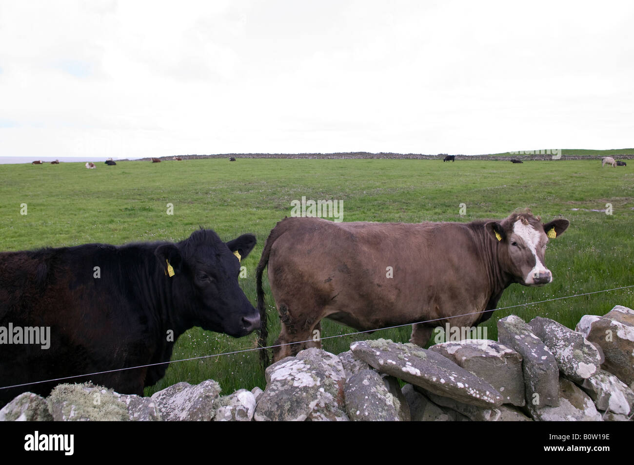 Land grass hi-res stock photography and images - Alamy