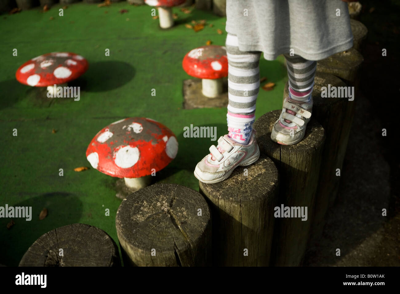 Toadstool new zealand hi-res stock photography and images - Alamy