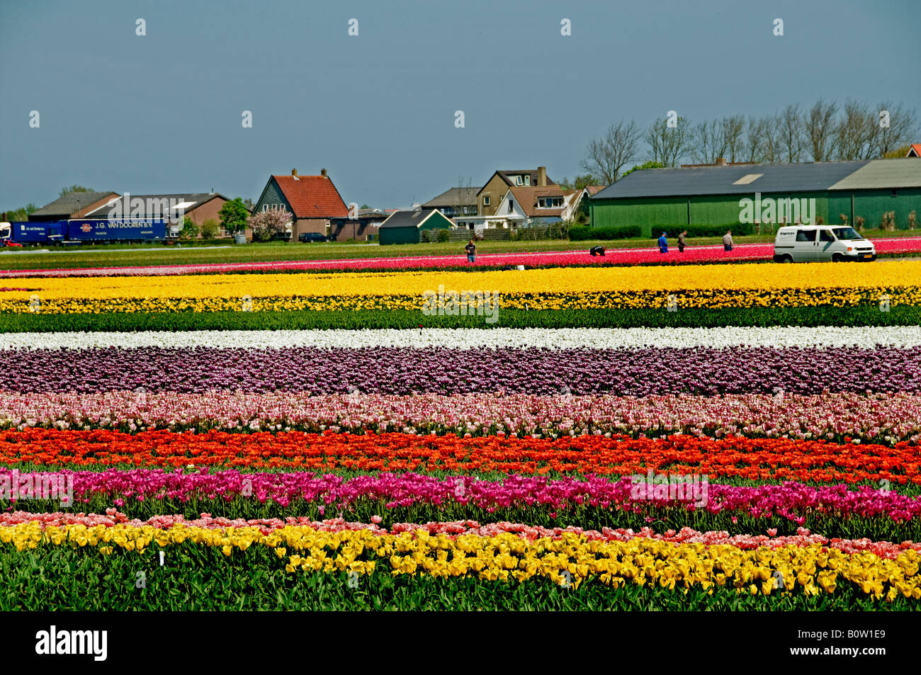 Anna paulowna polder farm house hi-res stock photography and images - Alamy
