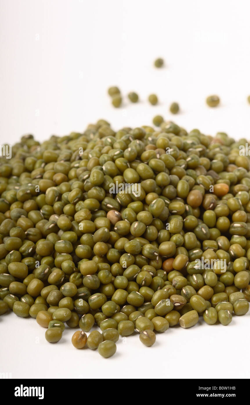 The mung bean hi-res stock photography and images - Alamy