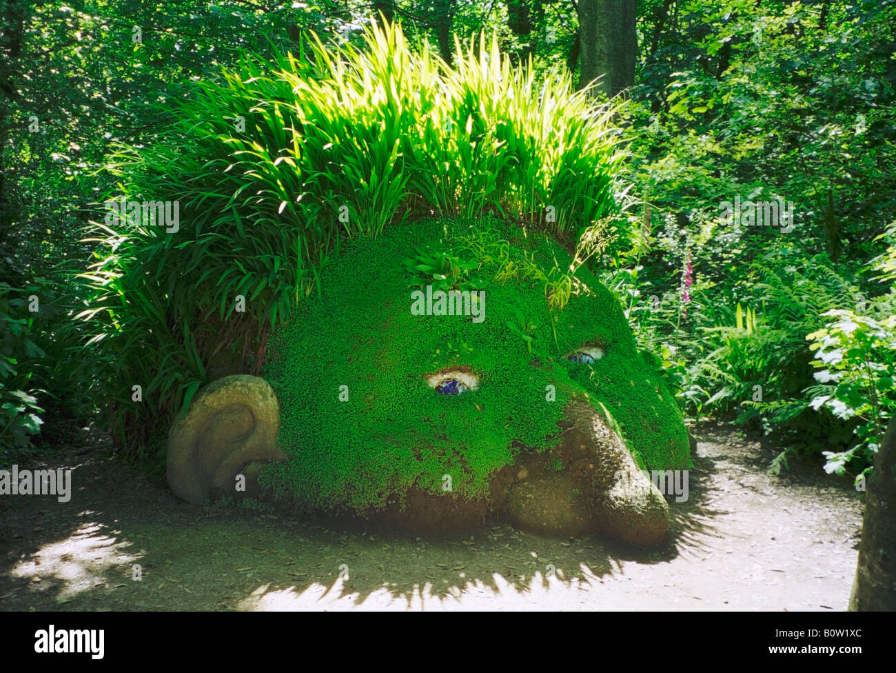 Lost Gardens of Heligan, Cornwall, England Stock Photo - Alamy