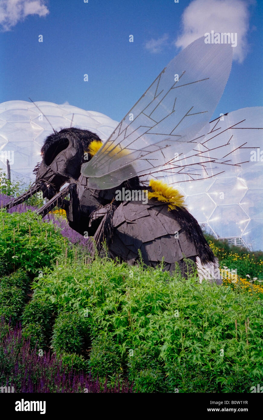 "Big Bee", Eden Project, Cornwall, England Stock Photo - Alamy