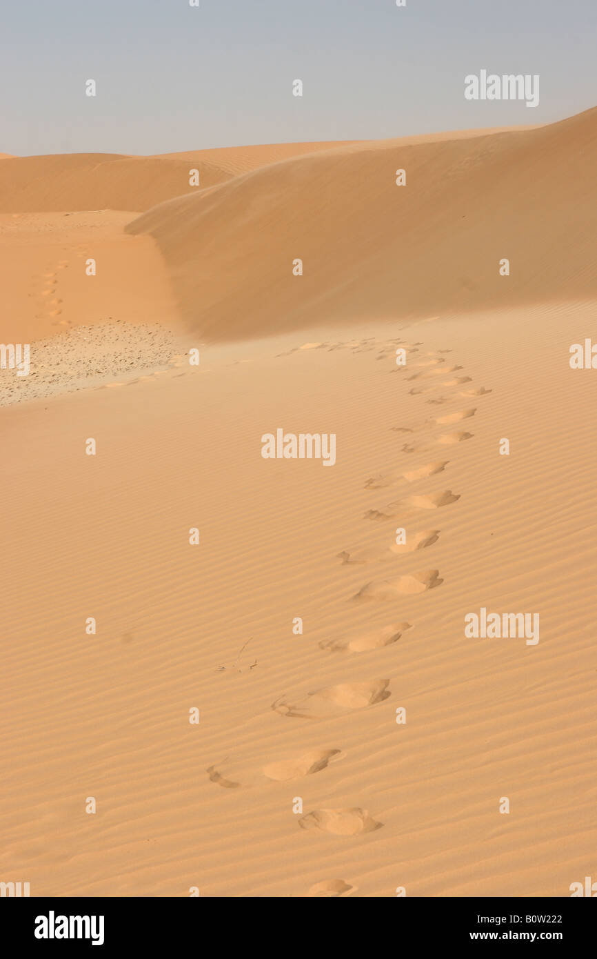 Footsteps in the sand of the sahara desert Stock Photo - Alamy
