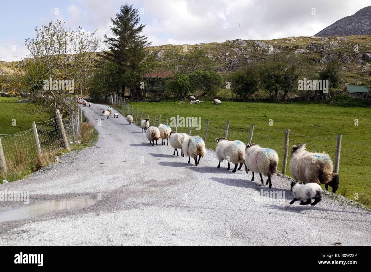 Road sheet hi-res stock photography and images - Alamy