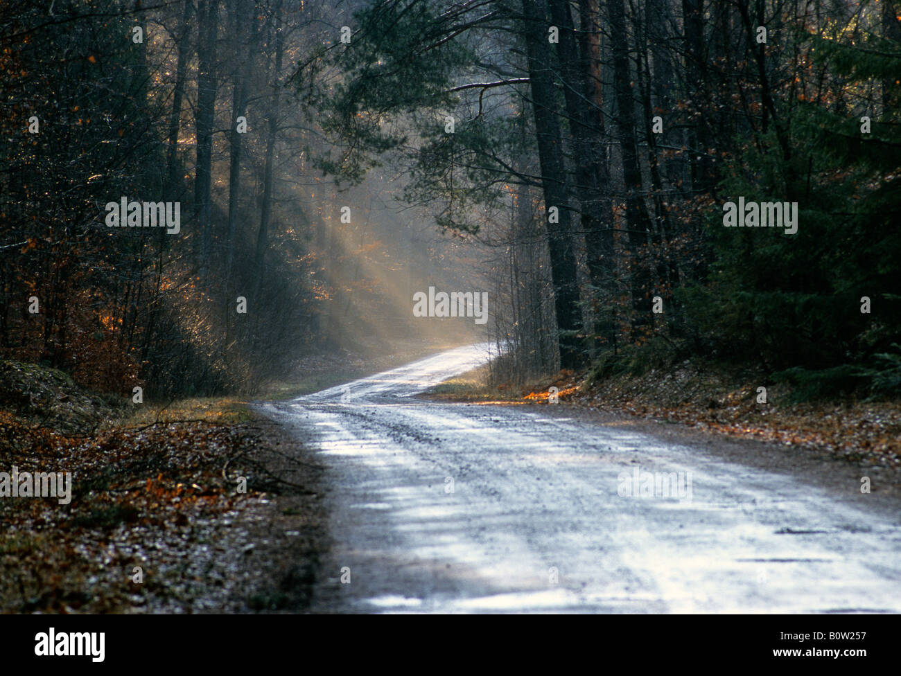 Road Poland Scenic Landscape Stock Photo - Alamy