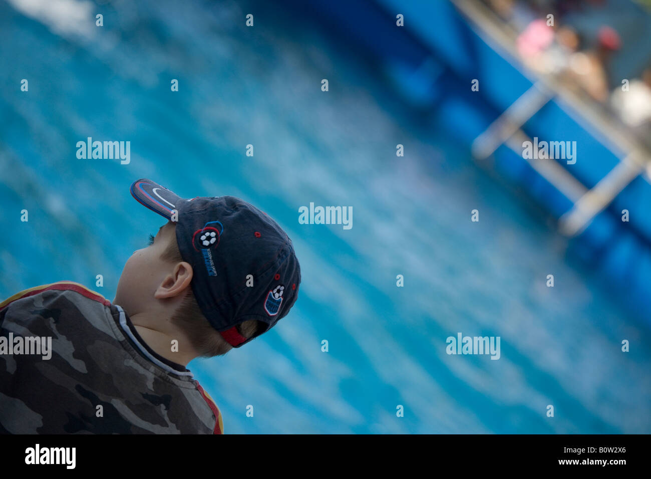 Boy on holiday watching sea life show Stock Photo - Alamy