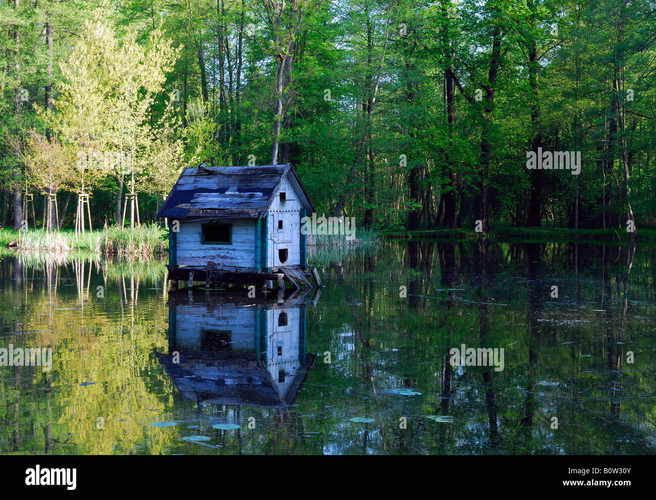 Tuck Everlasting Tucks House