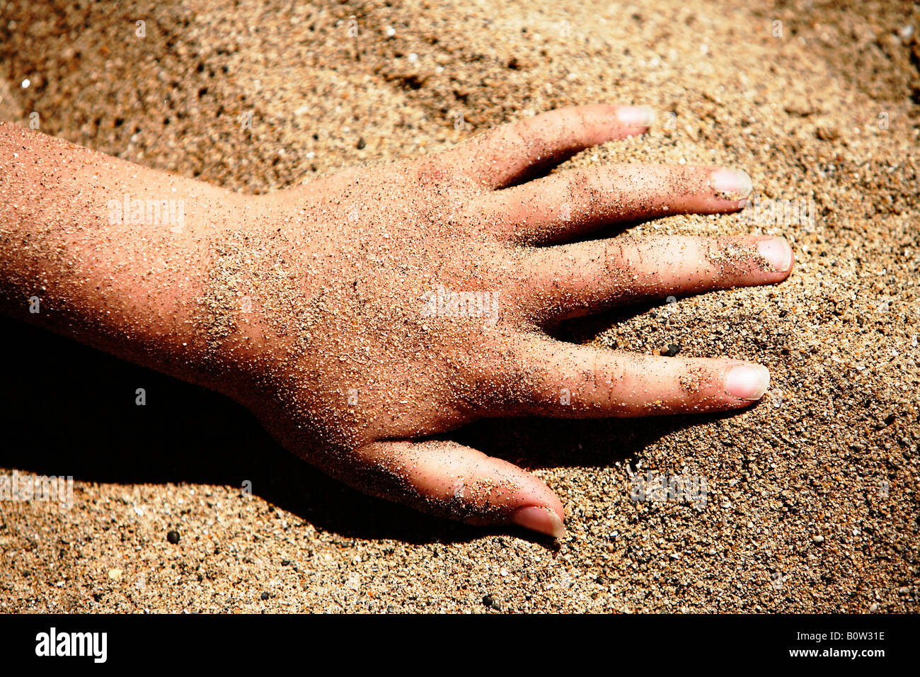 young childs hand in the sand at the beach Stock Photo - Alamy