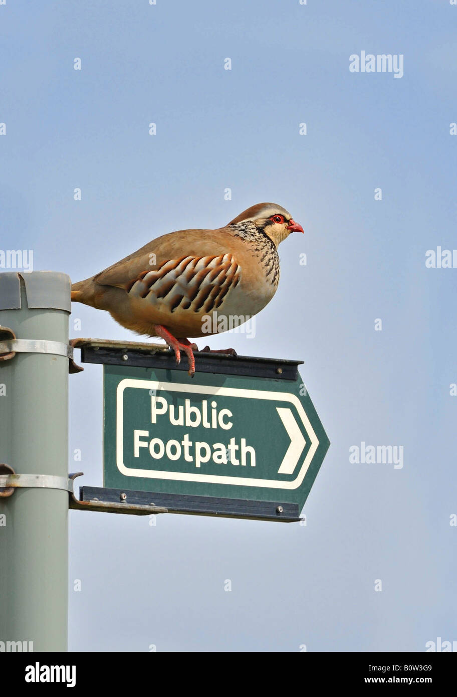 Rambling sign hi-res stock photography and images - Alamy