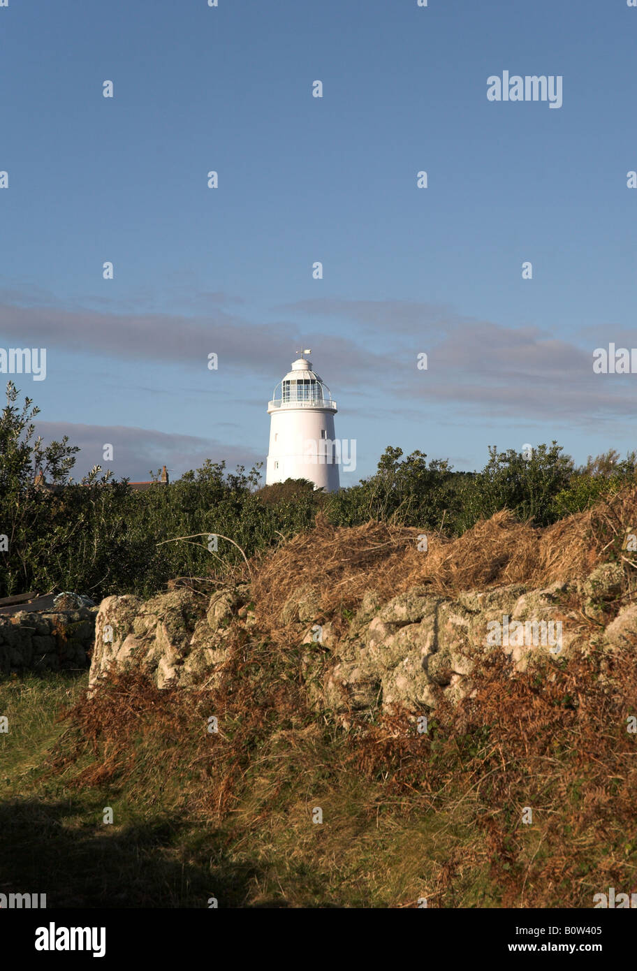 Collins guide hi-res stock photography and images - Alamy