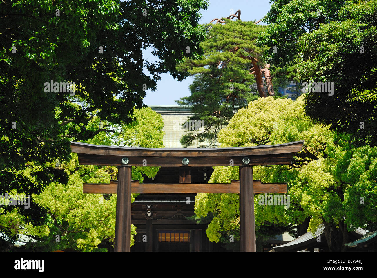 Torii entrance meiji shrine hi-res stock photography and images - Alamy