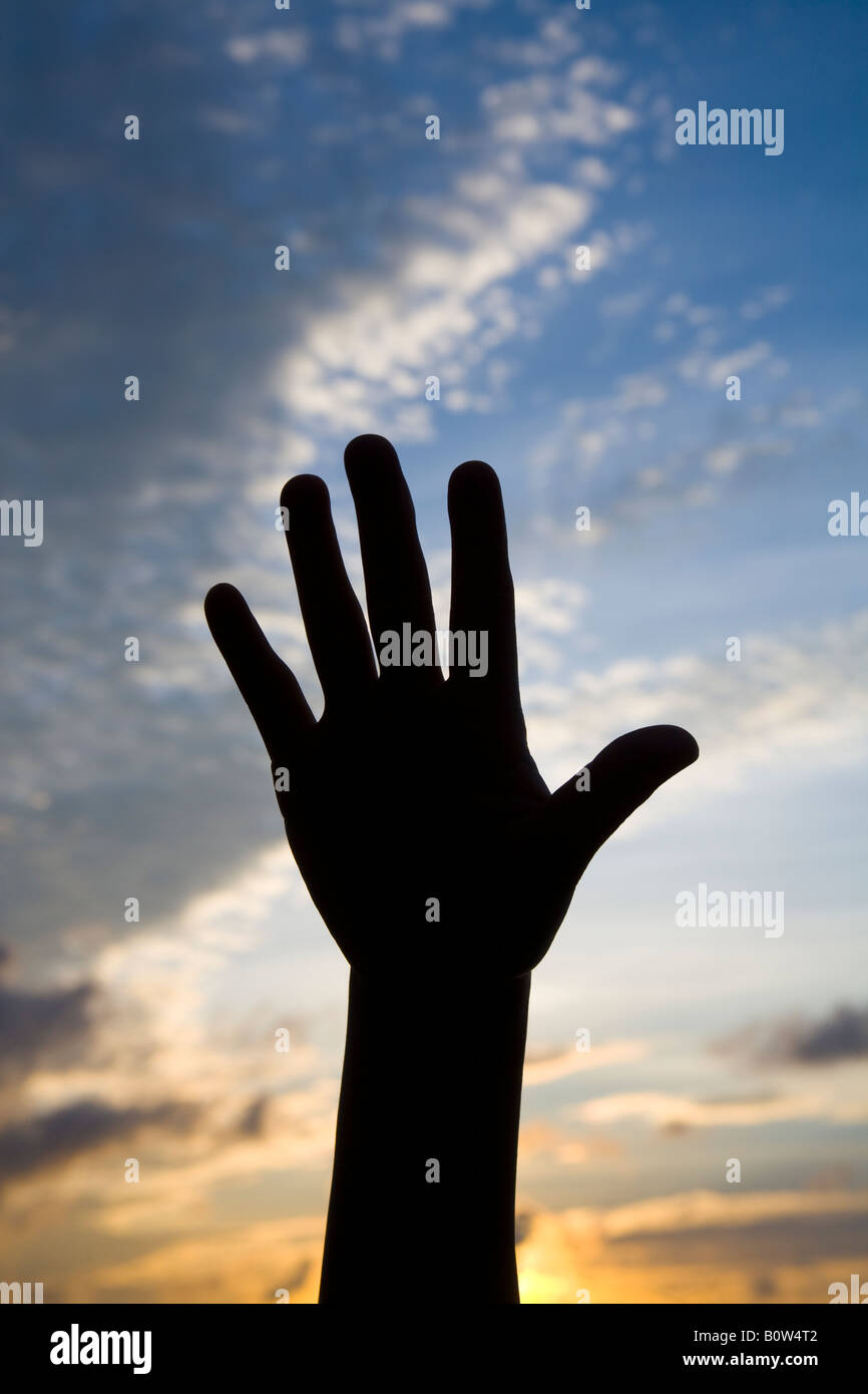 Woman's hand reaching for sky Stock Photo - Alamy