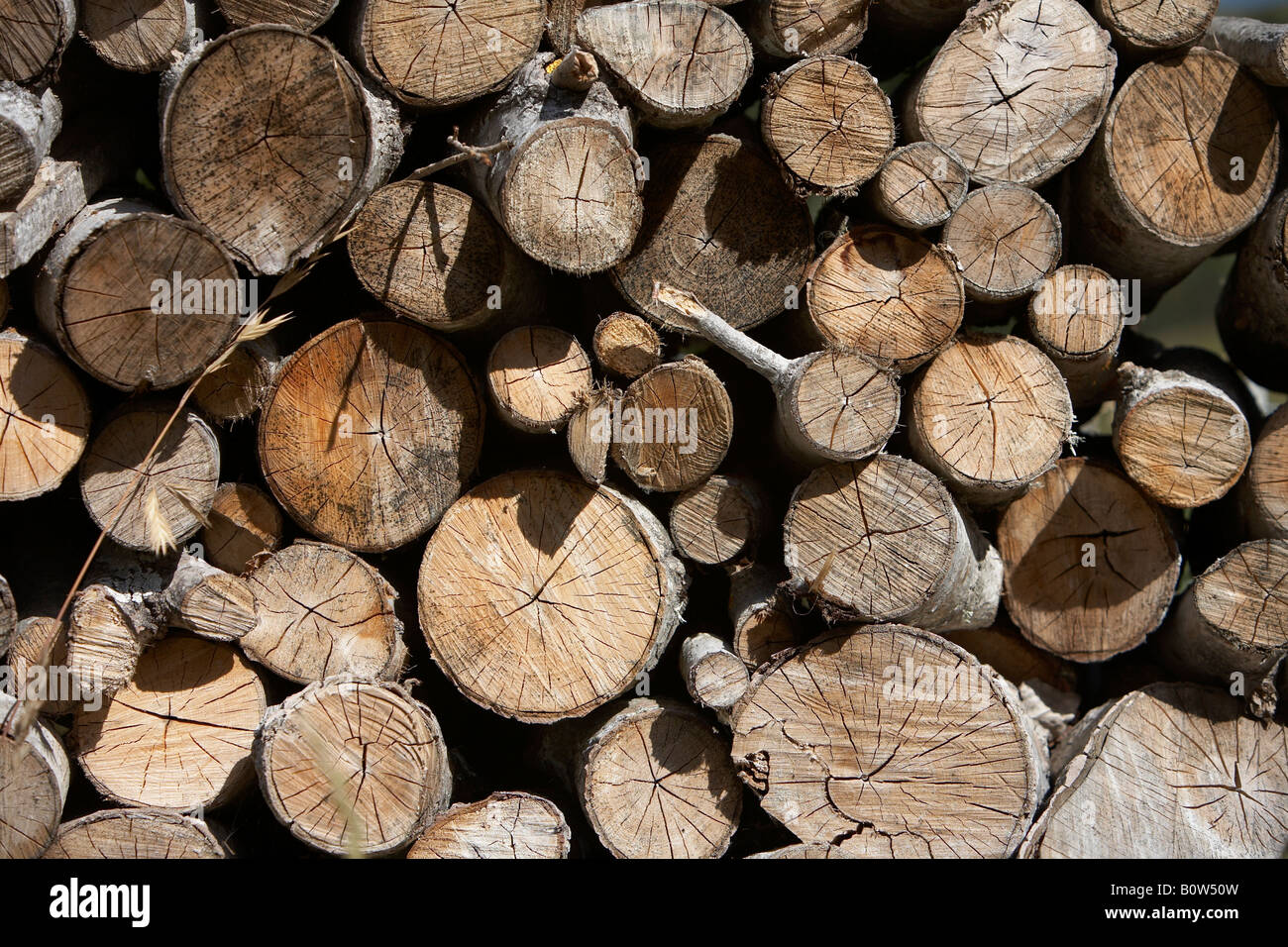 stacked wood drying ready for winter Stock Photo - Alamy