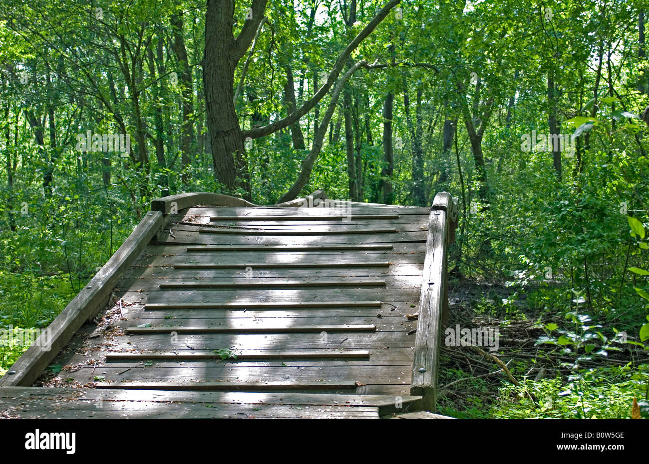 Bridge crossing into the nature full of life and growth Stock Photo - Alamy