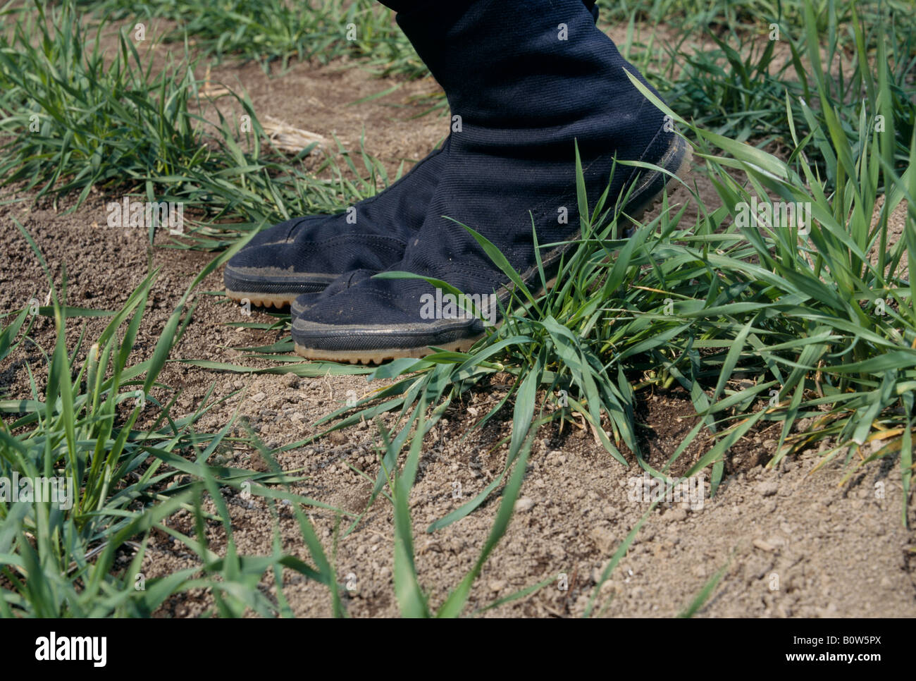 Farmers feet hi-res stock photography and images - Alamy
