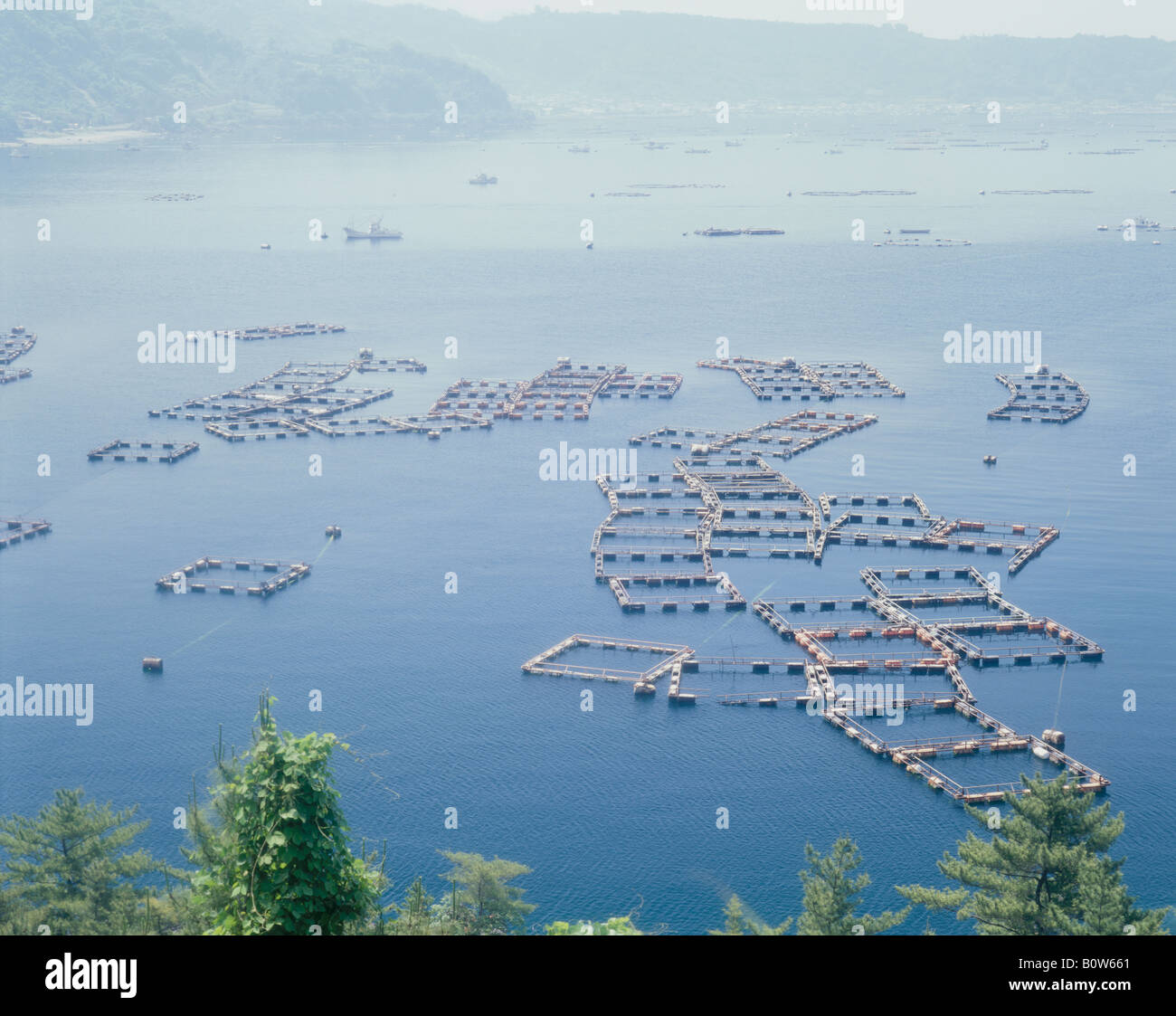 Sea of japan fishing hi-res stock photography and images - Alamy